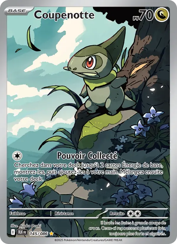 Coupenotte - Carte Pokémon TCG | Prix et Infos | Pokémon Trash